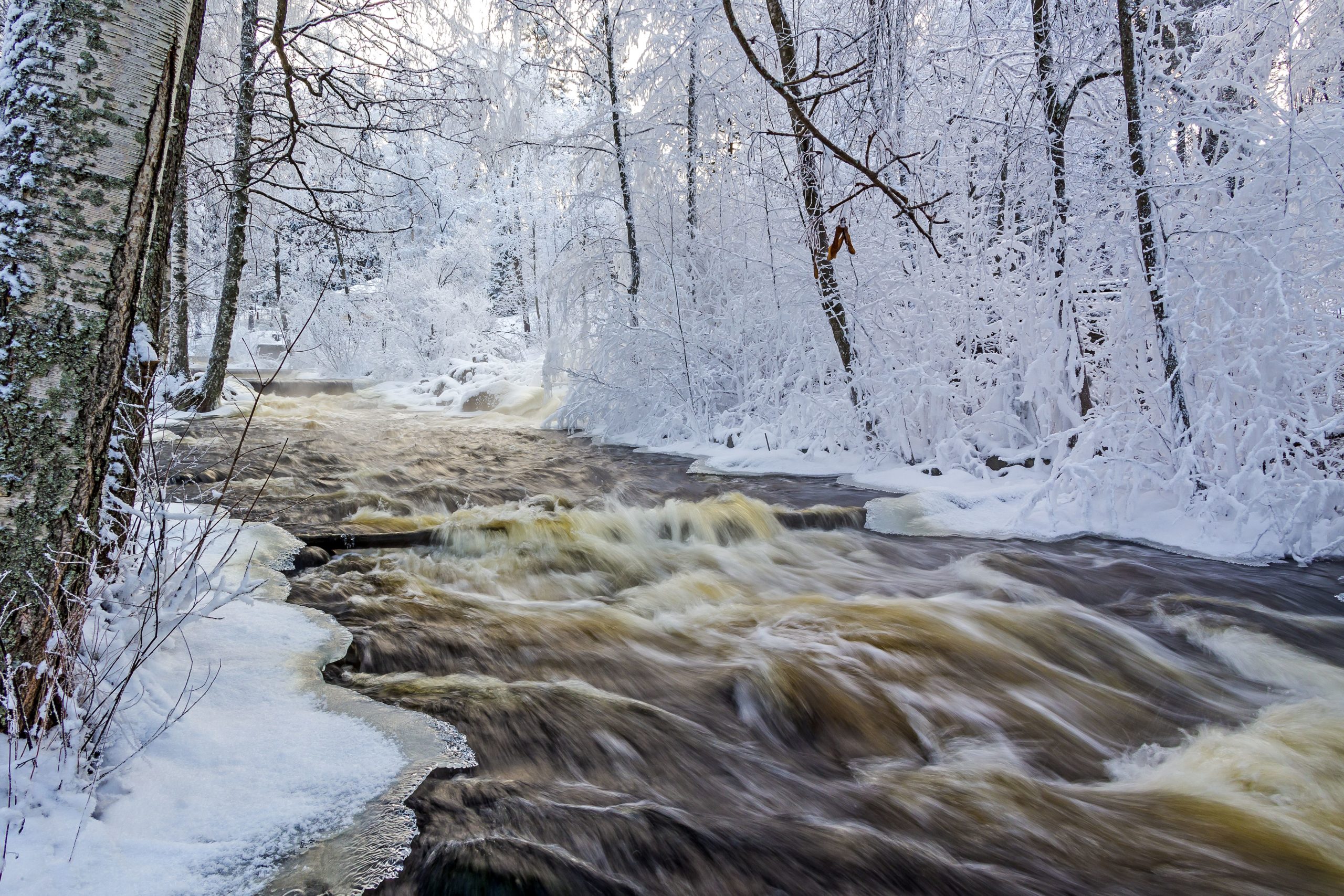 Onnellista Saimaan saaristoelämää - Enonkoski